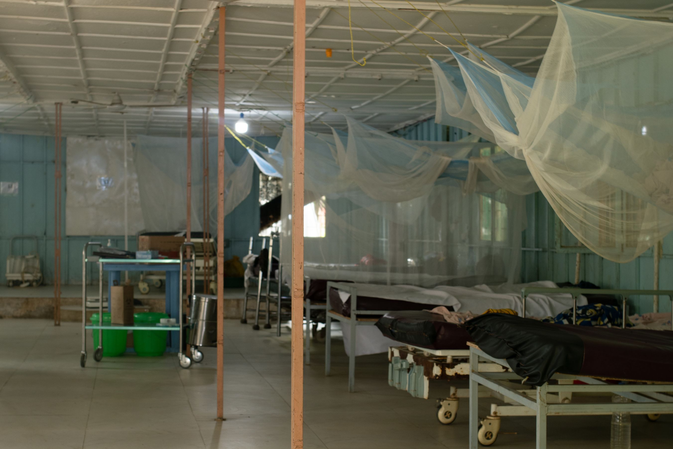 During a drought, visceral leishmaniasis spreads, testing a small rural ...